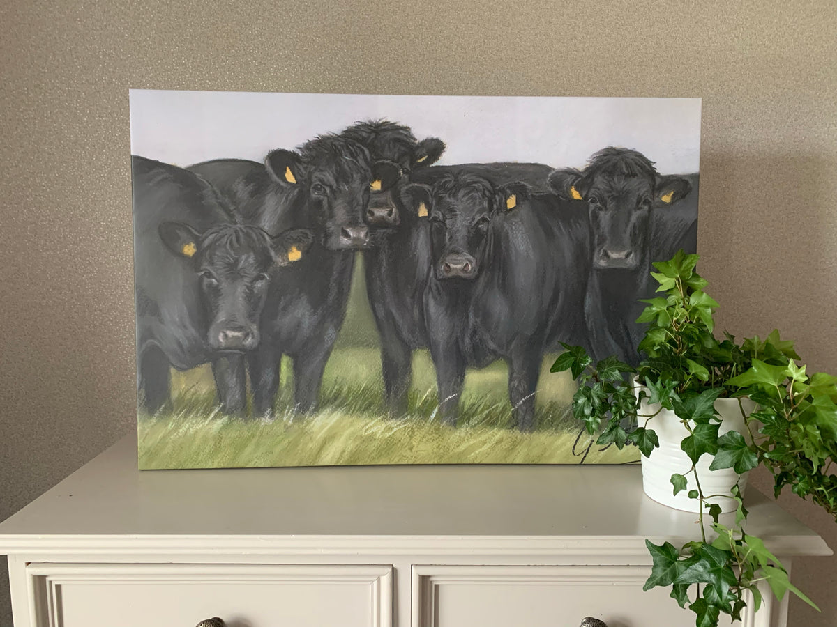 Aberdeen Angus Oblong Canvas Print – Grace Scott Art